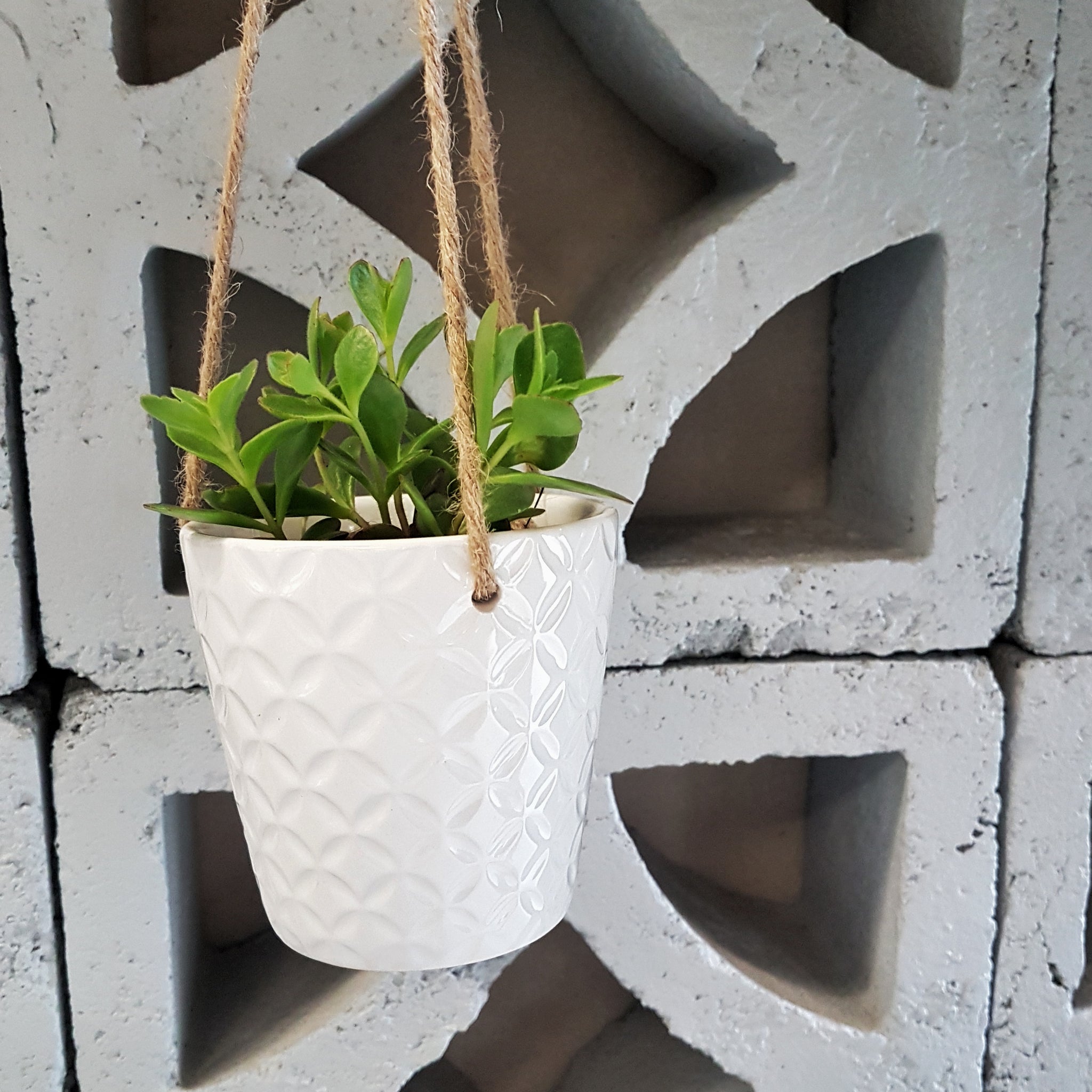 Gloss white embossed ceramic planter - Hanging – Designer Dirt